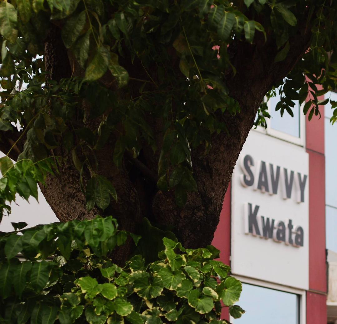 Library Of Lost And Found - SAVVY Kwata